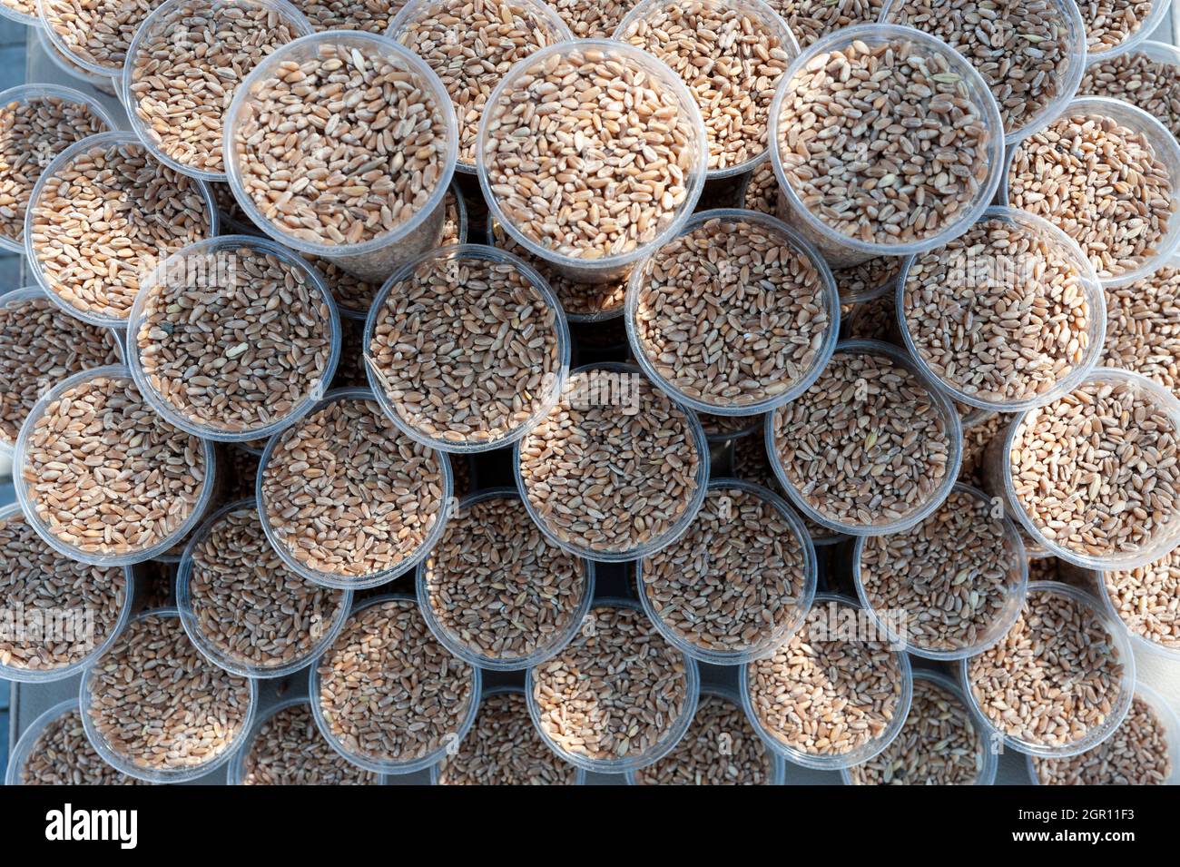 Bird food, birdseed Stock Photo - Alamy