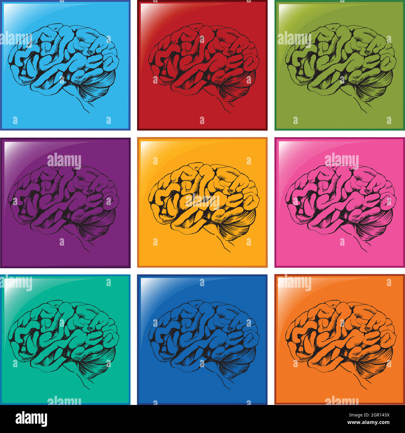 Visual brain hi-res stock photography and images - Alamy