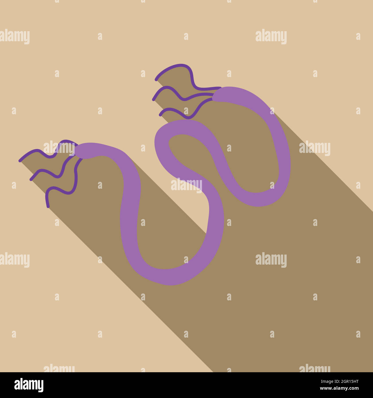 Rod shaped bacteria hi-res stock photography and images - Alamy