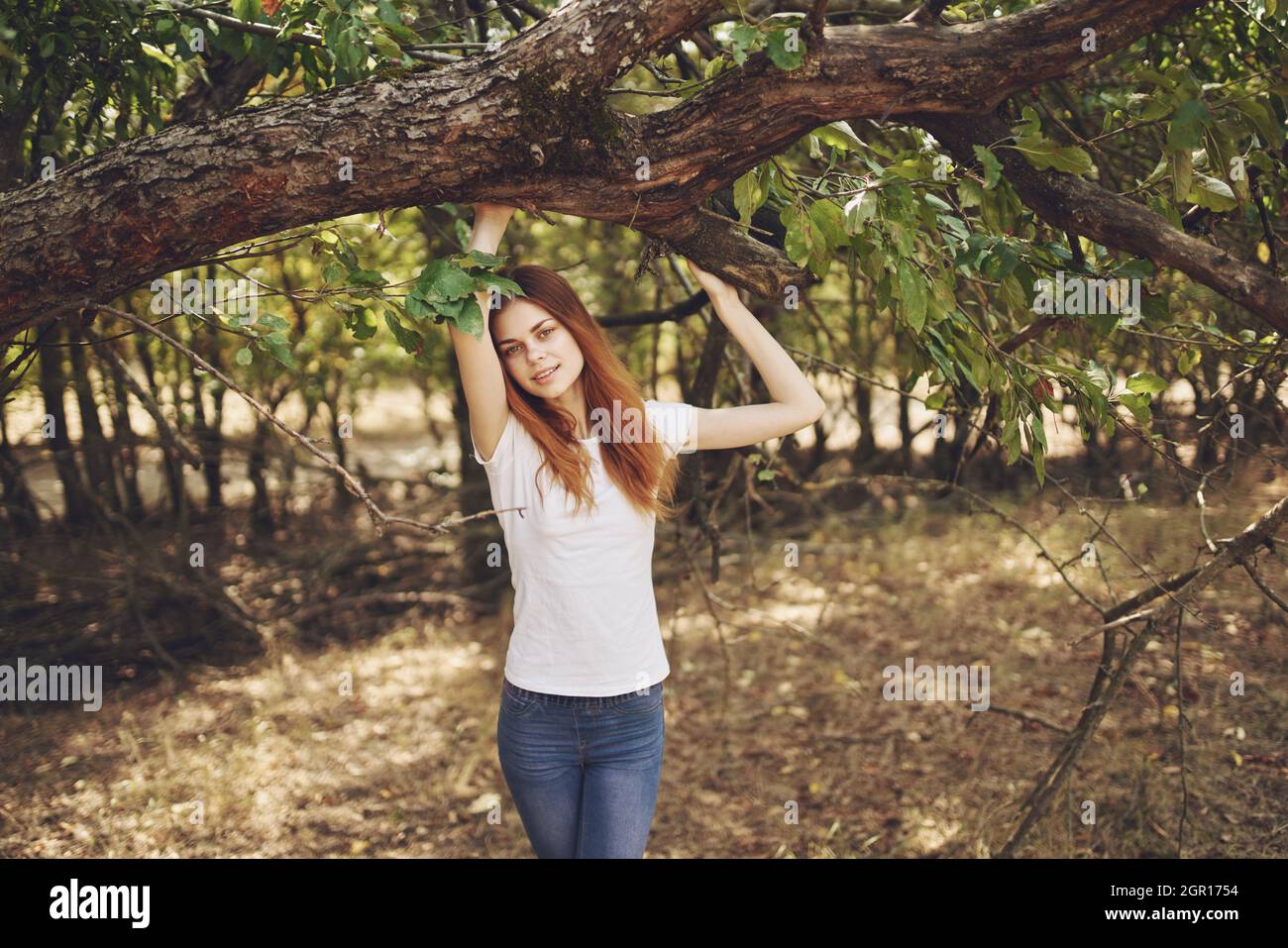 woman sitting near a tree Fresh air Stock Photo - Alamy