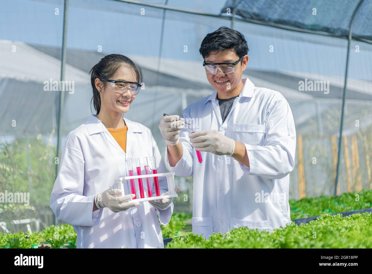 Scientists doing research in farm hi-res stock photography and images ...