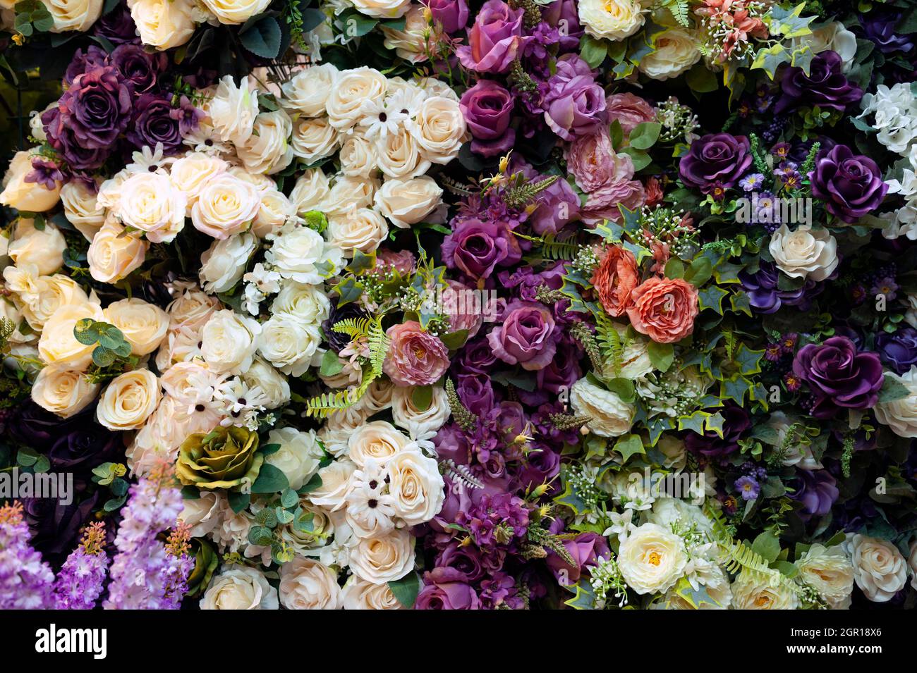 Colorful lined flowers Stock Photo - Alamy