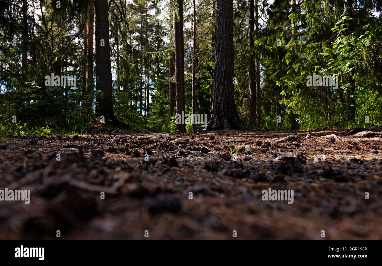 Ant seen hi-res stock photography and images - Alamy