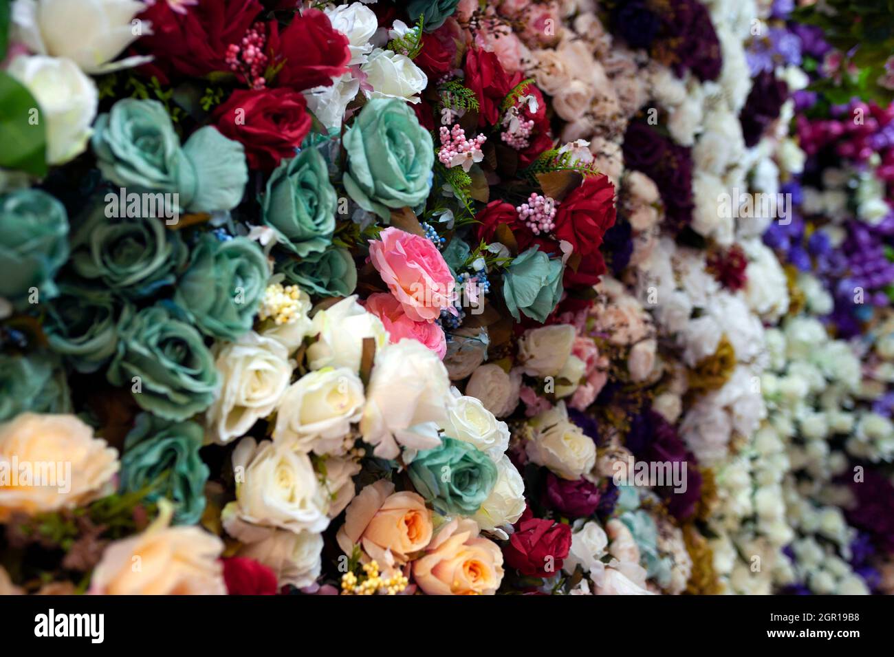Colorful lined flowers Stock Photo - Alamy
