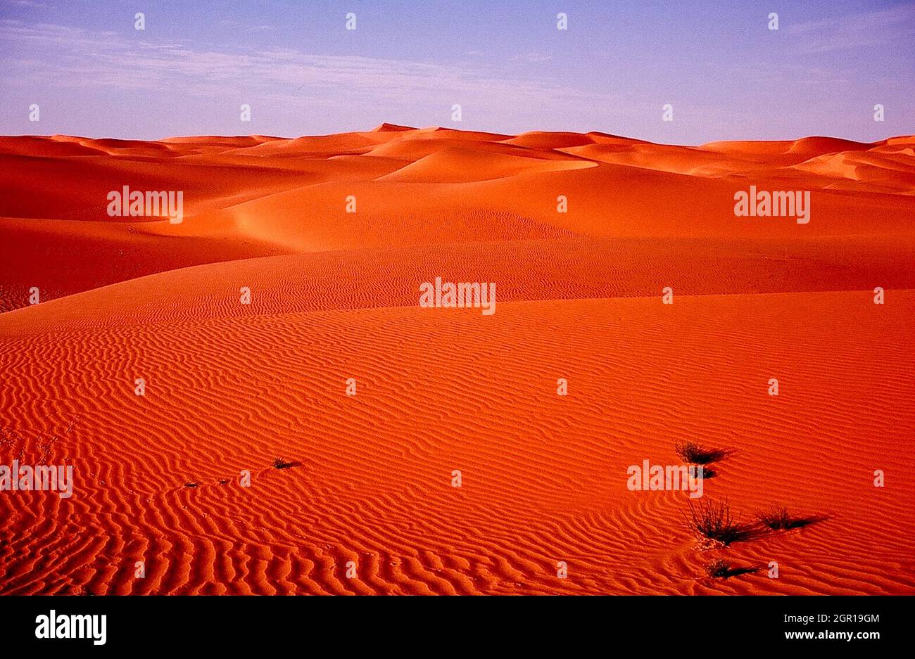 Tenere desert hi-res stock photography and images - Alamy