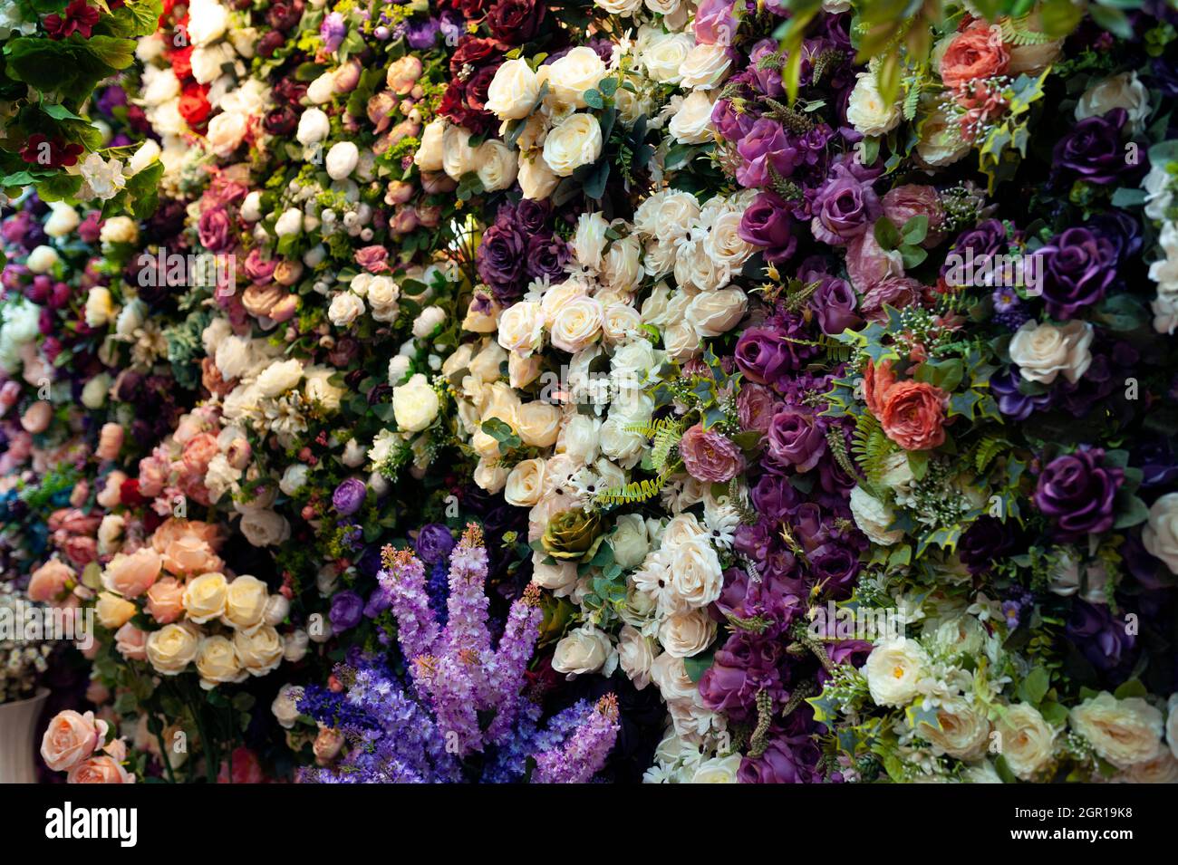 Colorful lined flowers Stock Photo - Alamy