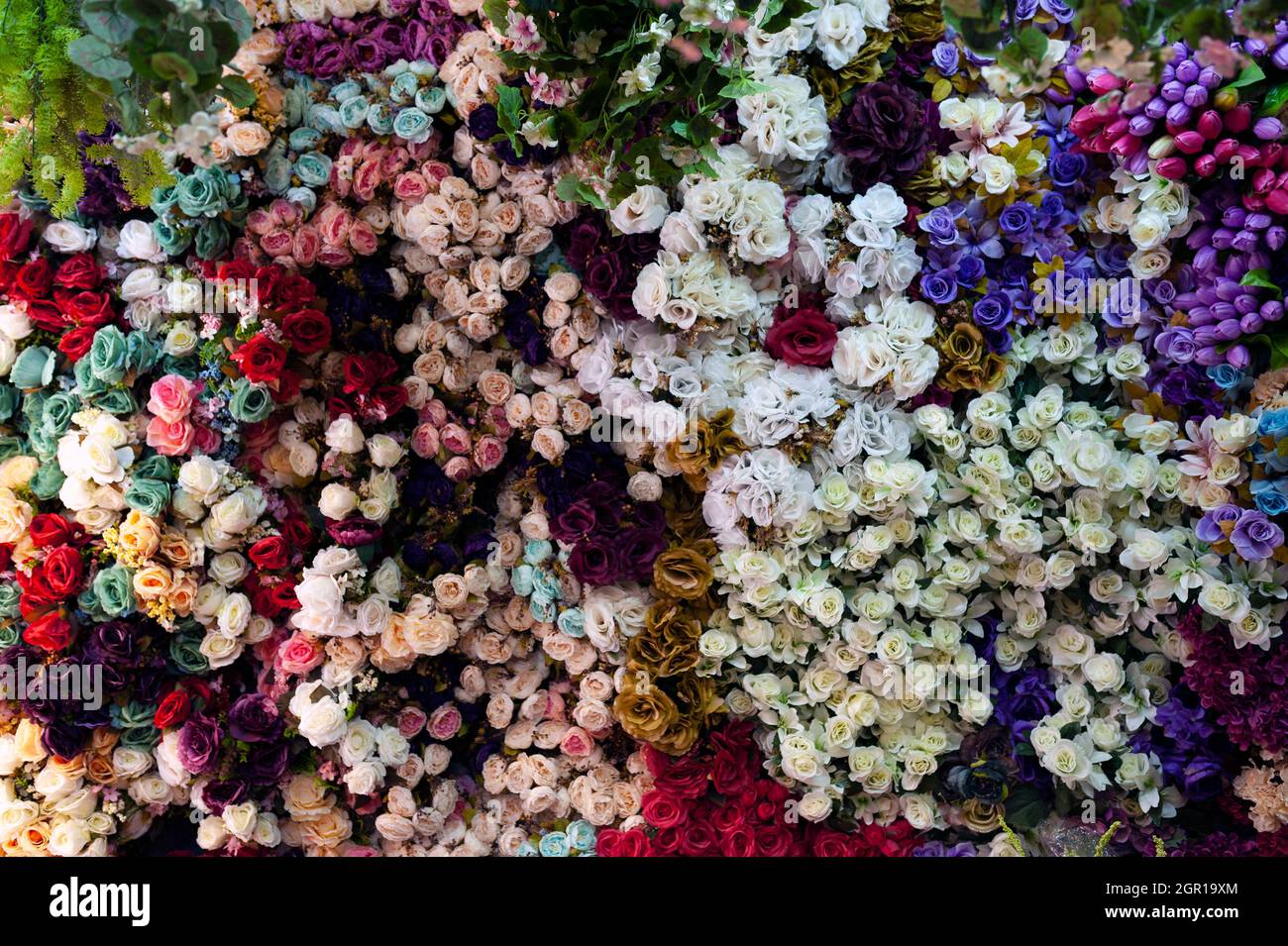 Colorful lined flowers Stock Photo - Alamy