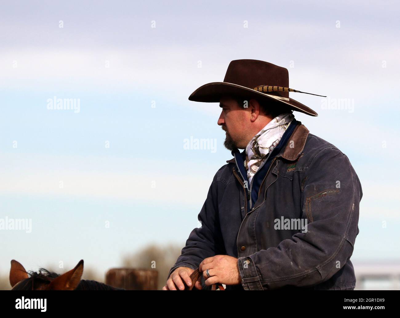 Moses riding hi-res stock photography and images - Alamy