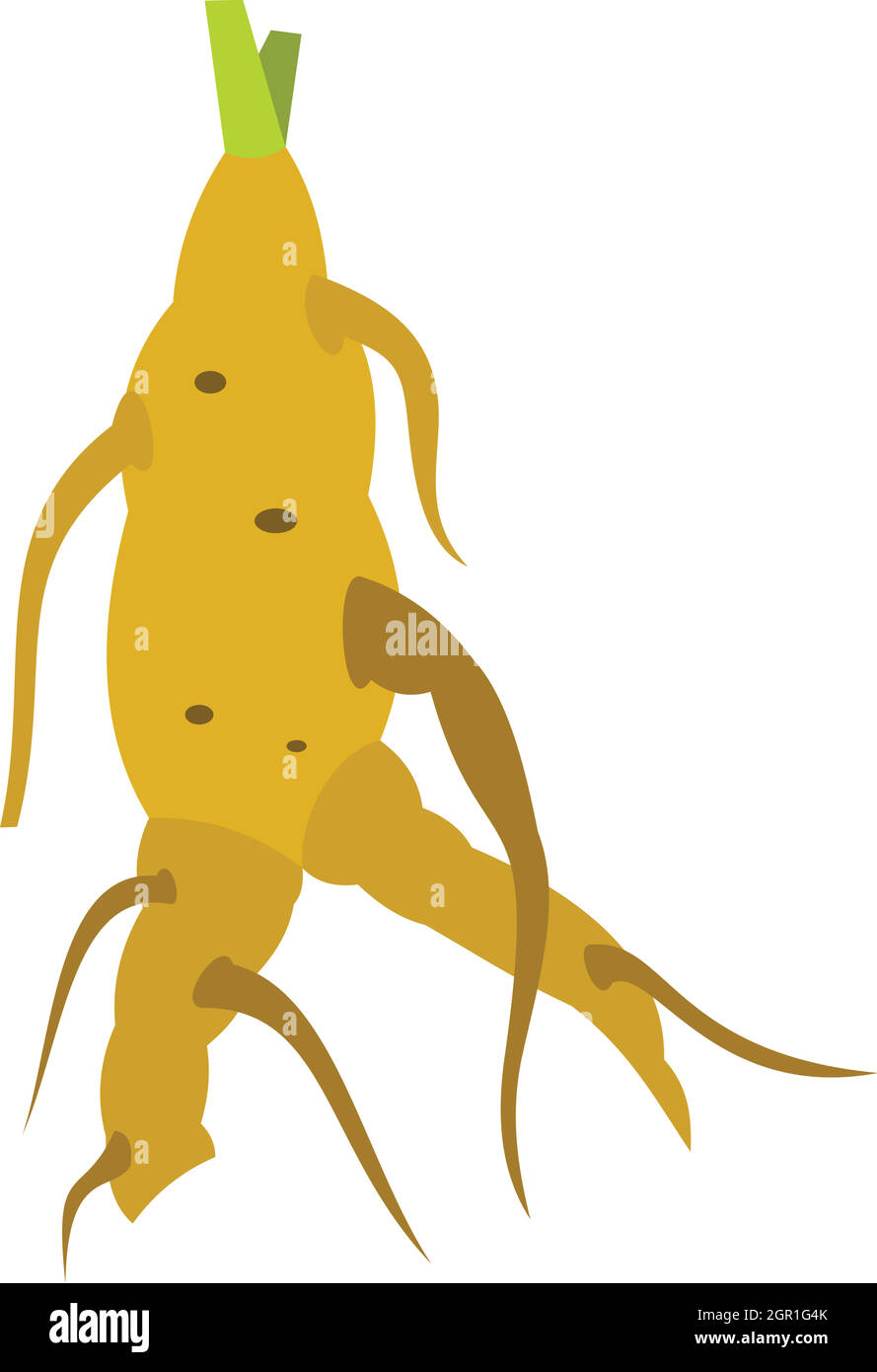 Ginseng tea Stock Vector Images - Alamy