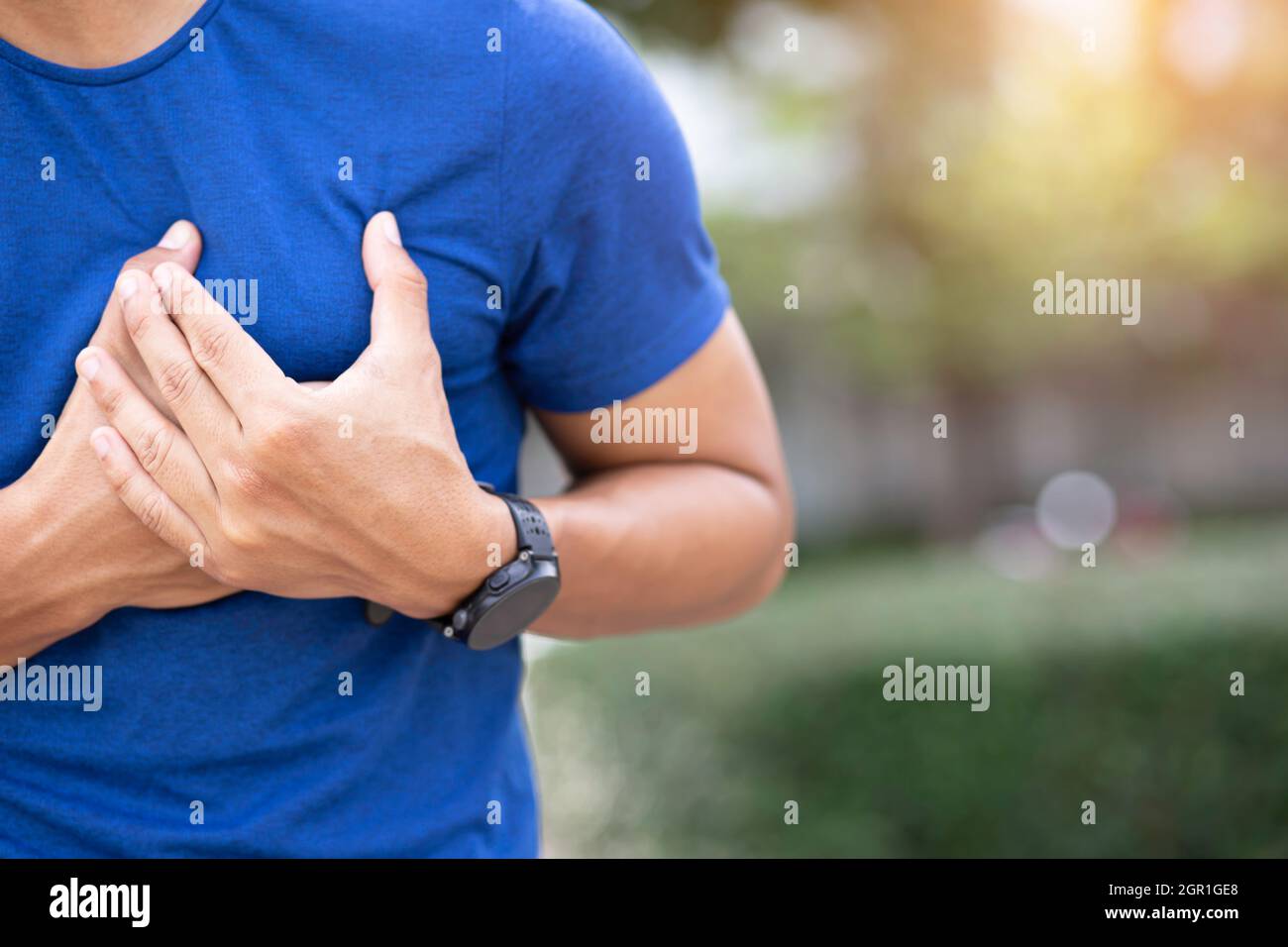 Heart organ thorax hi-res stock photography and images - Alamy