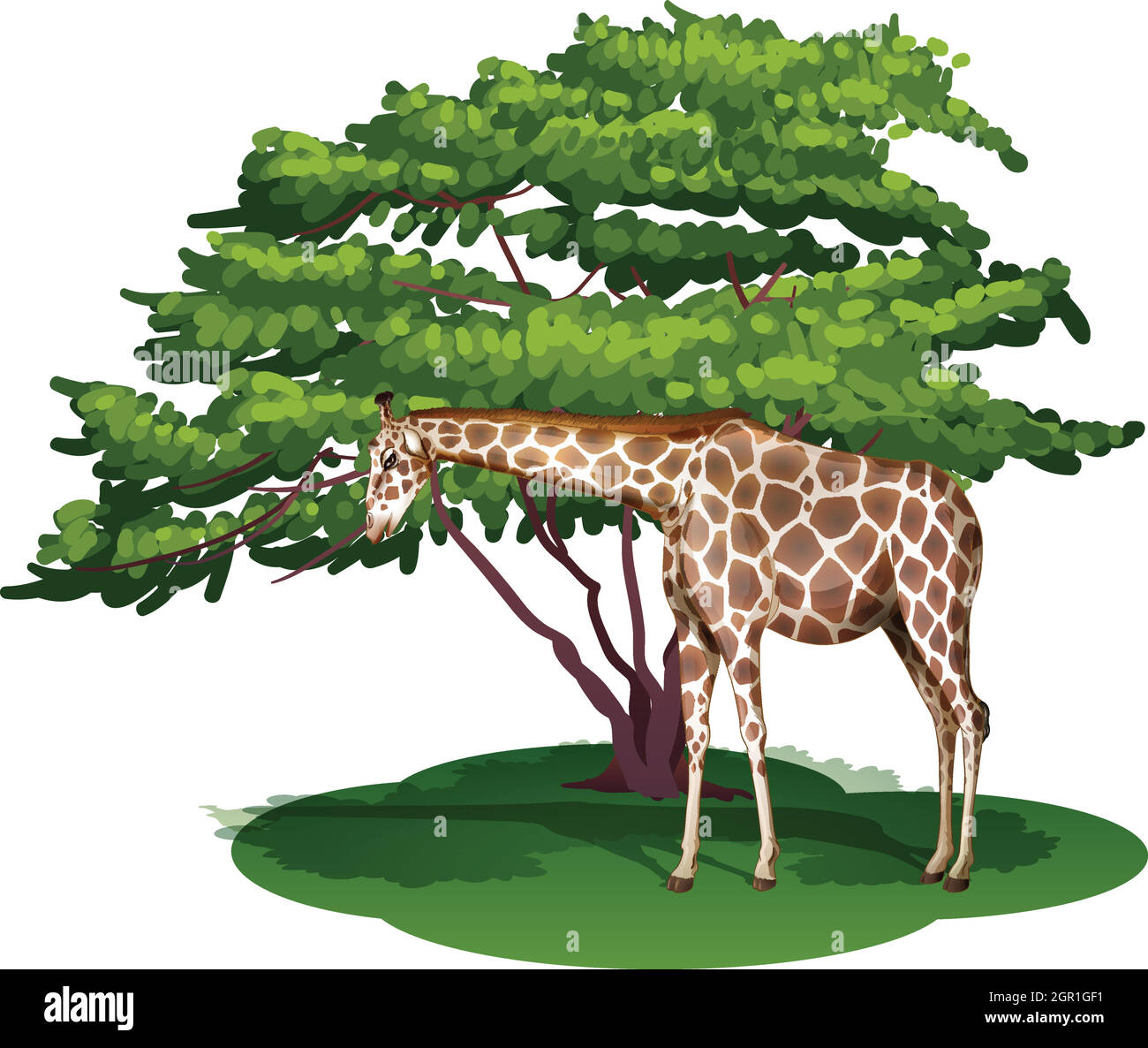 Under a a Cut Out Stock Images & Pictures - Alamy