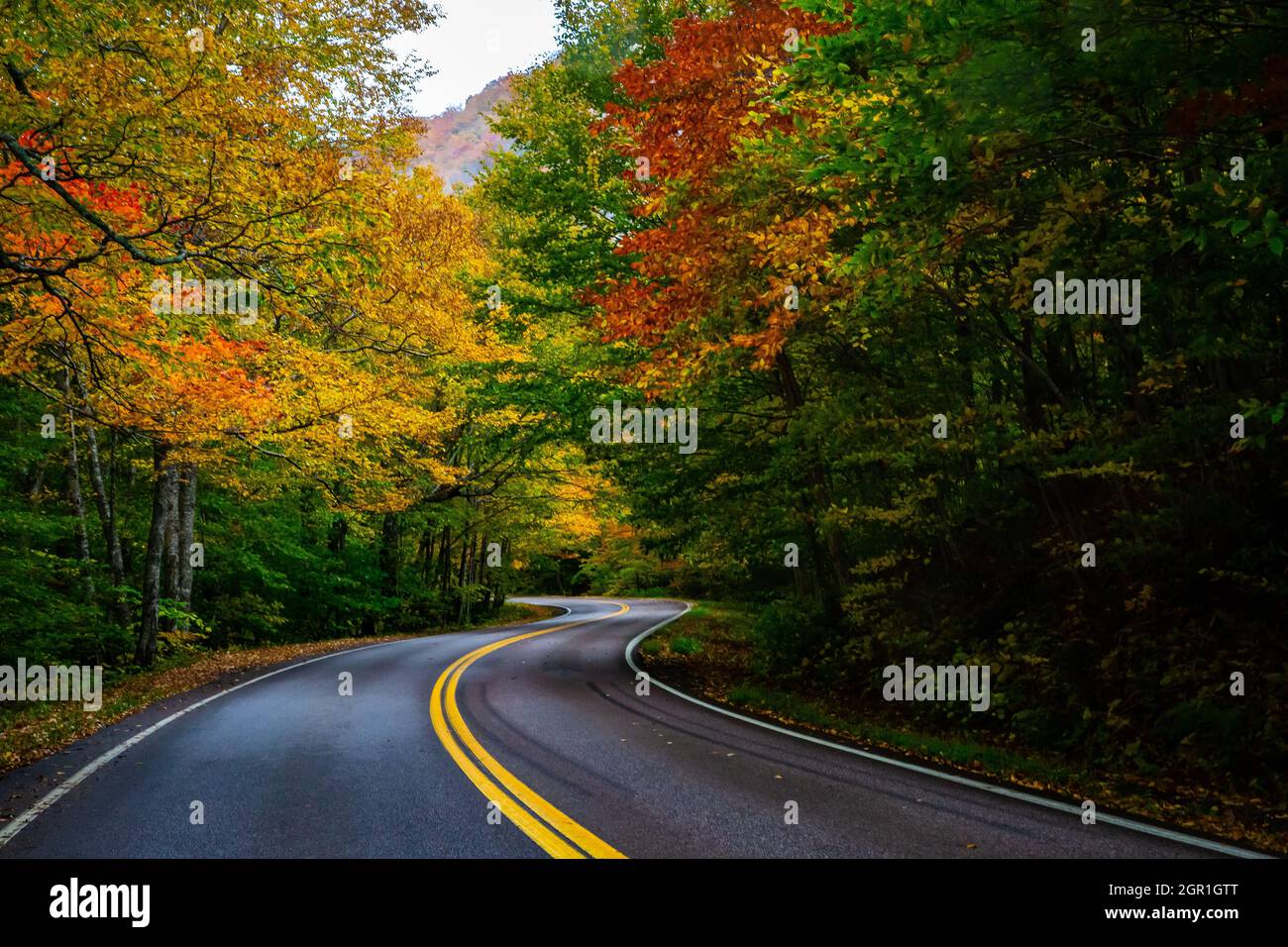 Windy fall hi-res stock photography and images - Alamy