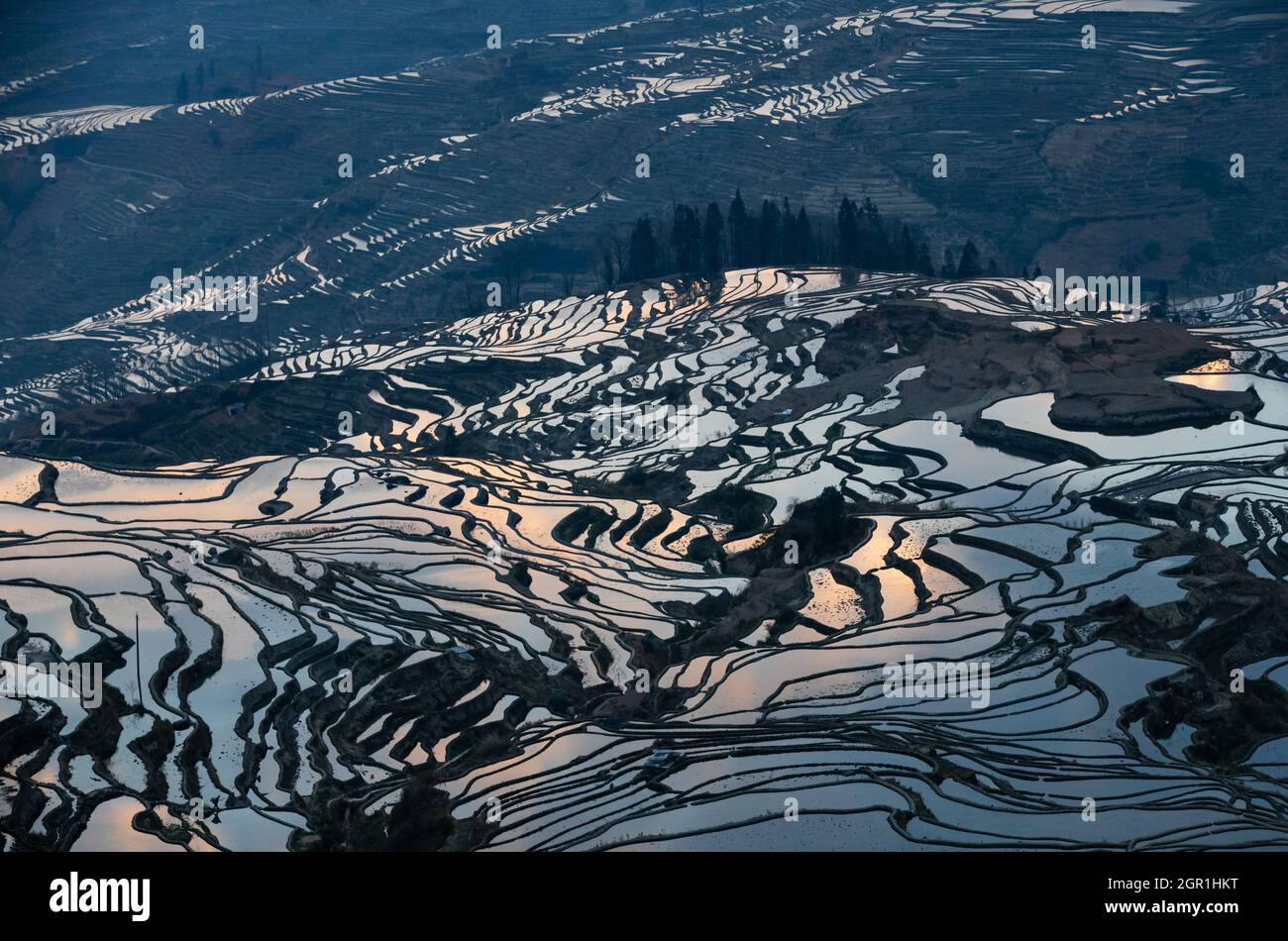 Padi field mountain hi-res stock photography and images - Alamy