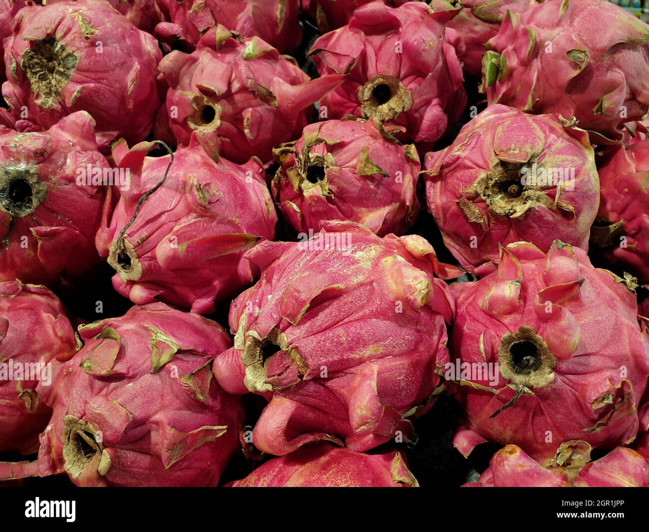 Dragon Fruit Flower Bouquet
