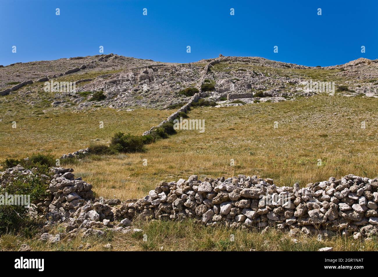 Island of pag croatia sheep hi-res stock photography and images - Alamy