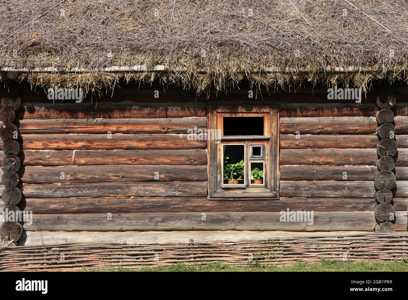 full frame background and texture of traditional russian log house with ...