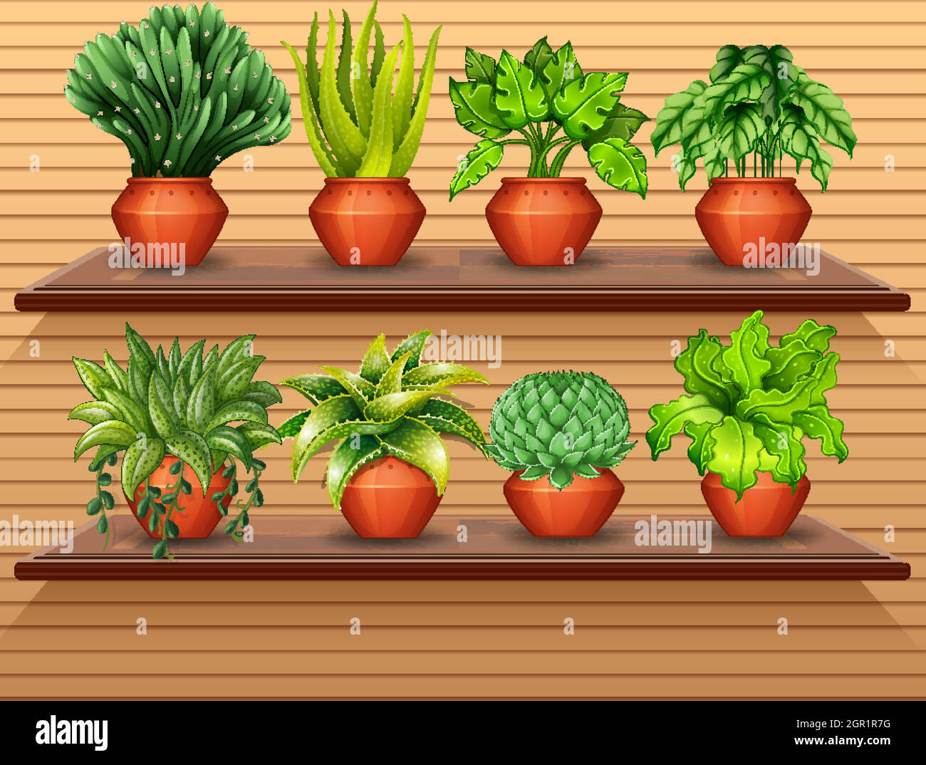 Set of plant on shelves Stock Vector Image & Art - Alamy