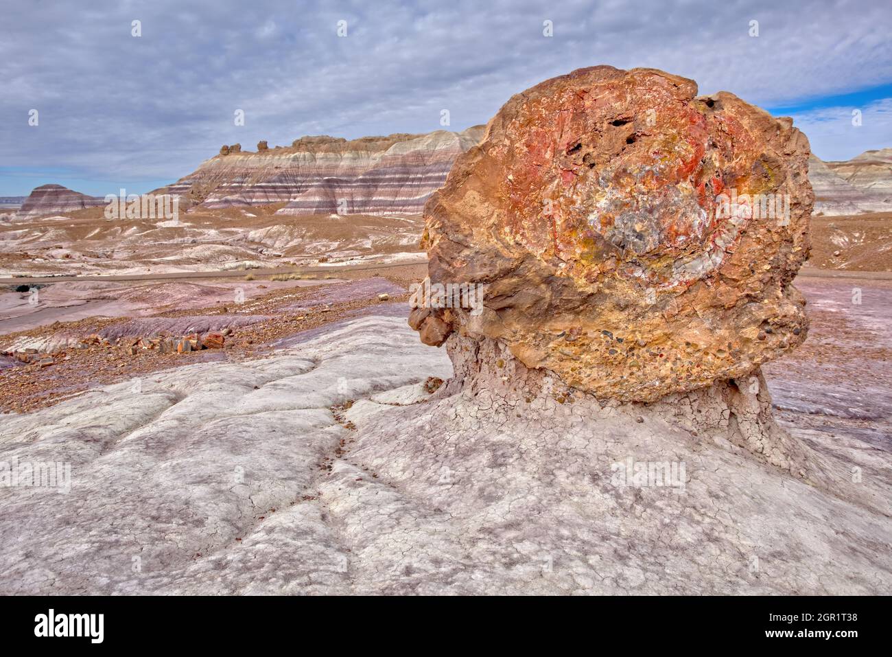 A large piece of petrified wood in the Petrified Forest National Park ...