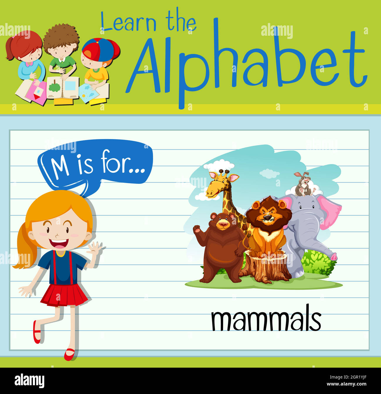 Flashcard alphabet M is for mammals Stock Vector Image & Art - Alamy