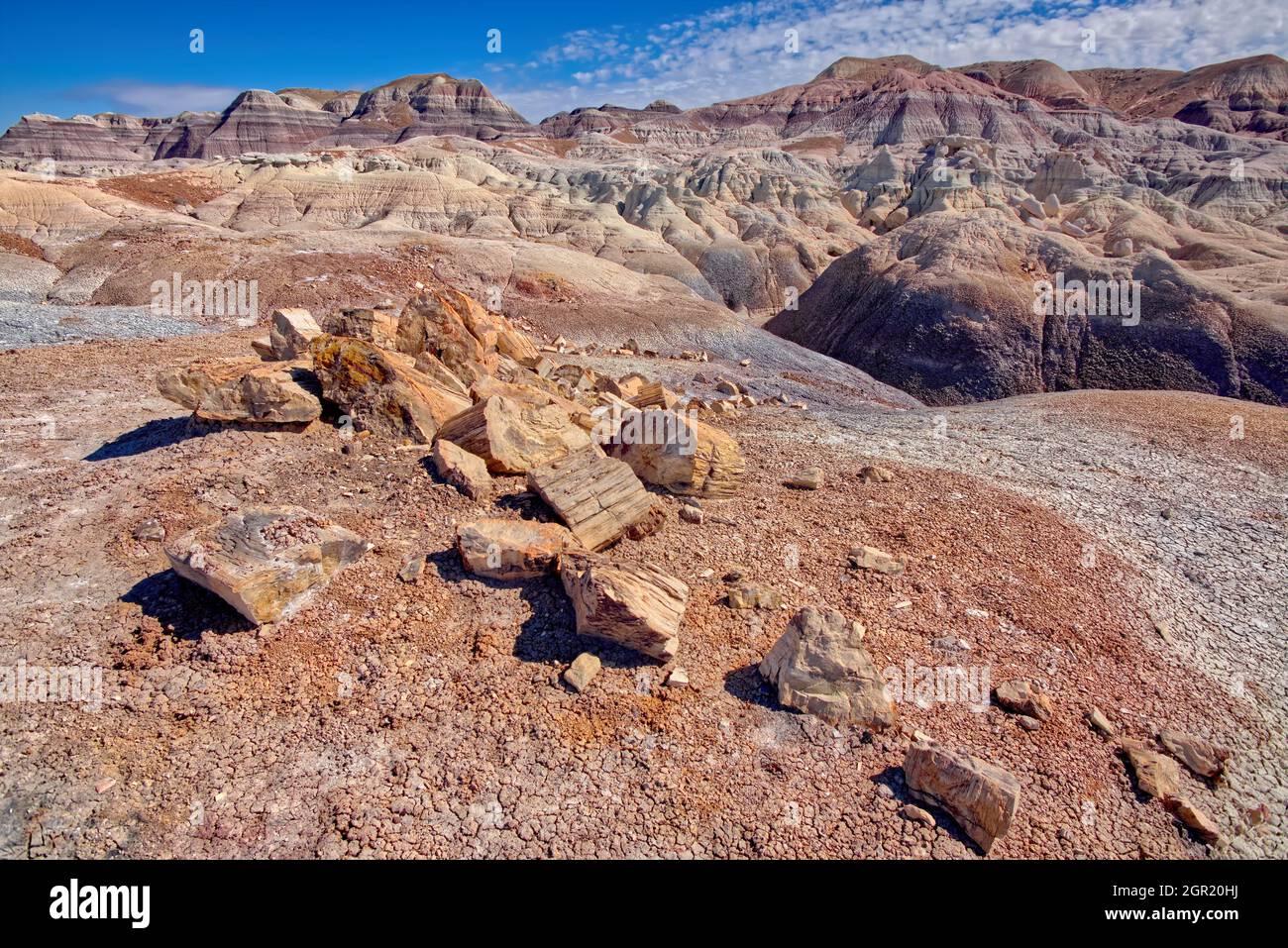 Petrified forest national park hi-res stock photography and images - Alamy