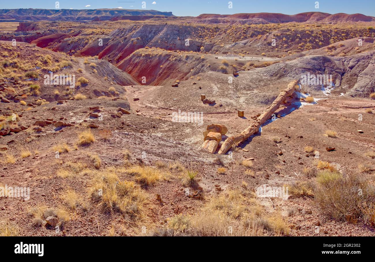 The Onyx Bridge in Petrified Forest National Park Arizona. It is one of ...