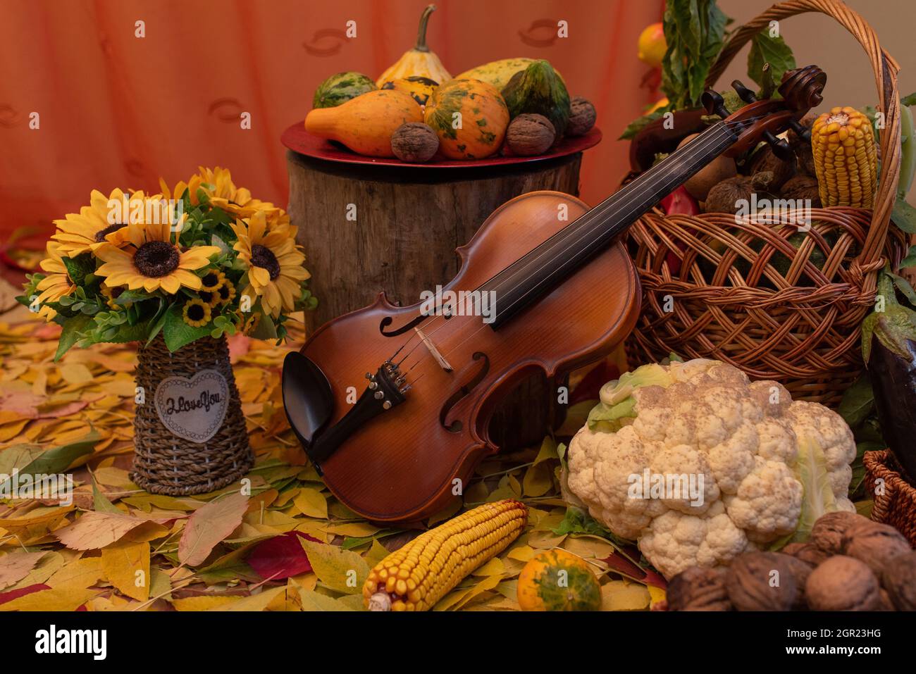 Bowed instrument hi-res stock photography and images - Alamy