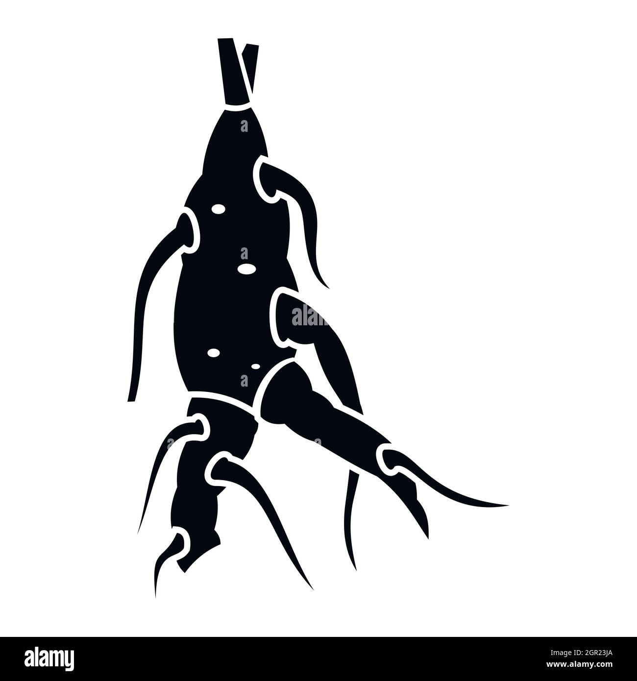 Medicine herb simple vector Cut Out Stock Images & Pictures - Alamy