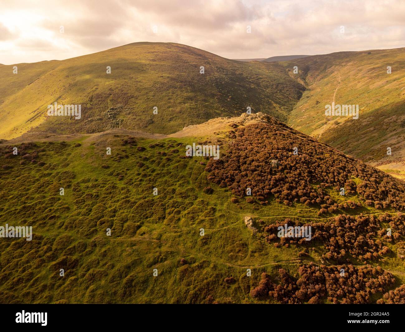The Long Mynd Hills area of outstanding natural beauty Shropshire Stock ...