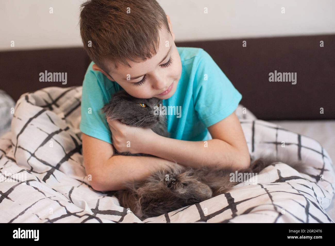 Boy cat lap hi-res stock photography and images - Alamy
