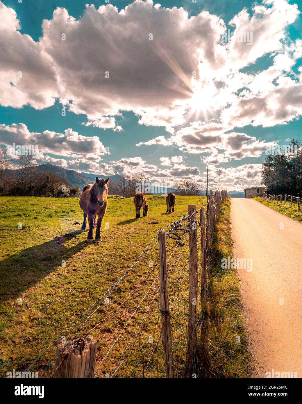 Tolosa spain road hi-res stock photography and images - Alamy