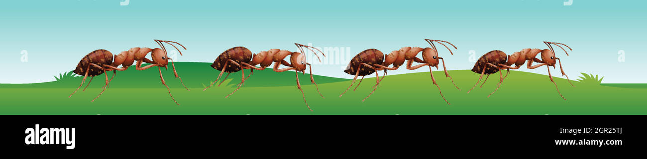 Surface insect Stock Vector Images - Alamy