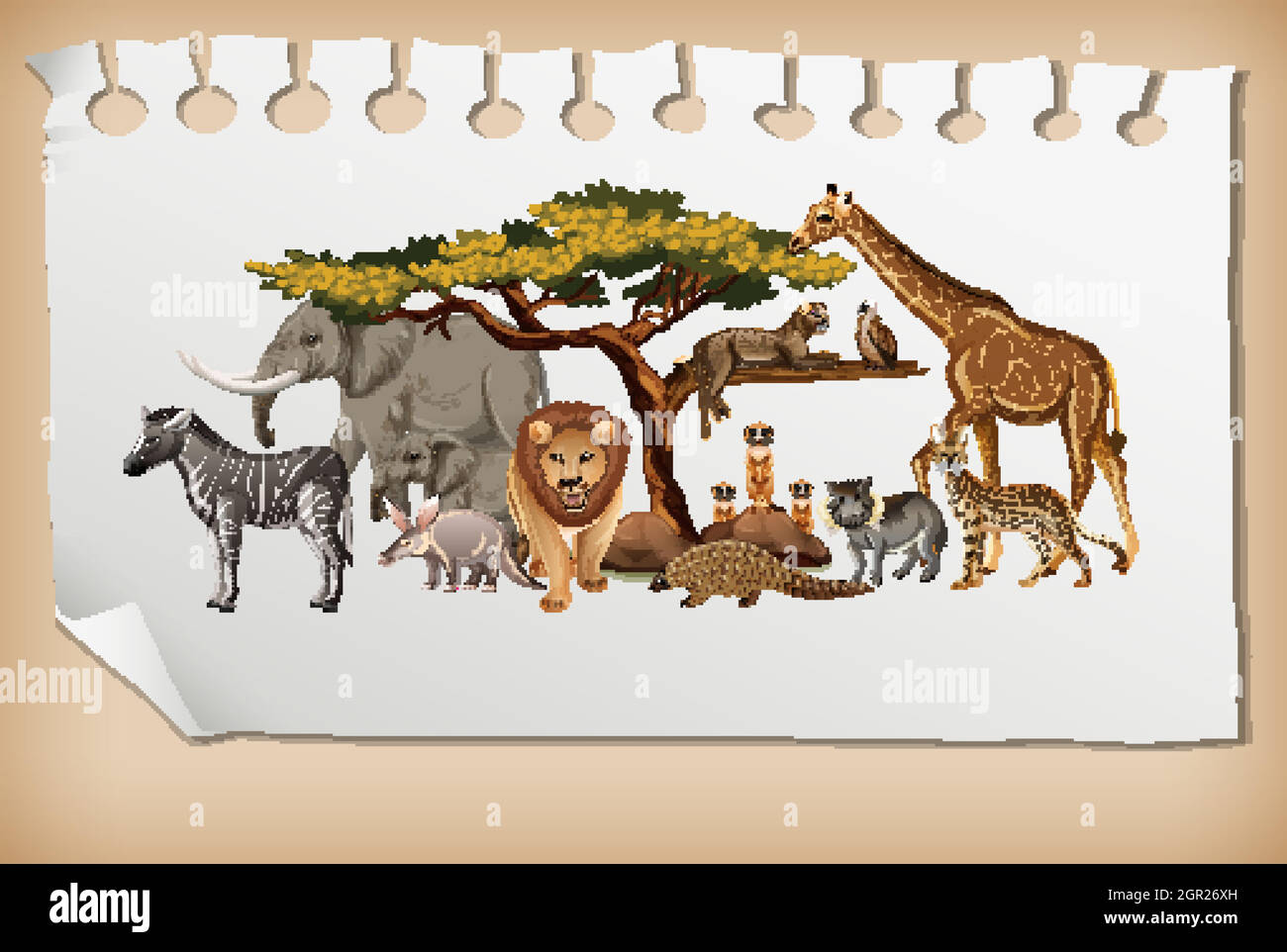 Group of wild african animal on paper Stock Vector Image & Art - Alamy