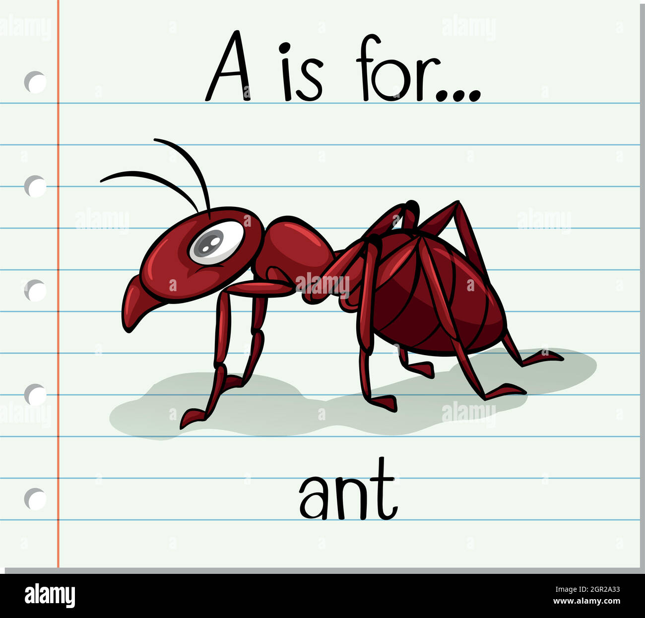 Flashcard letter A is for ant Stock Vector Image & Art - Alamy