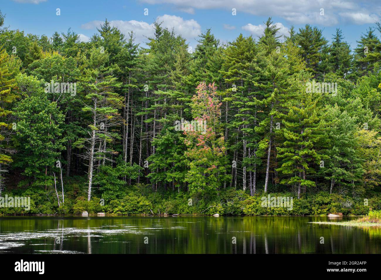 Pearl hill brook pond hi-res stock photography and images - Alamy