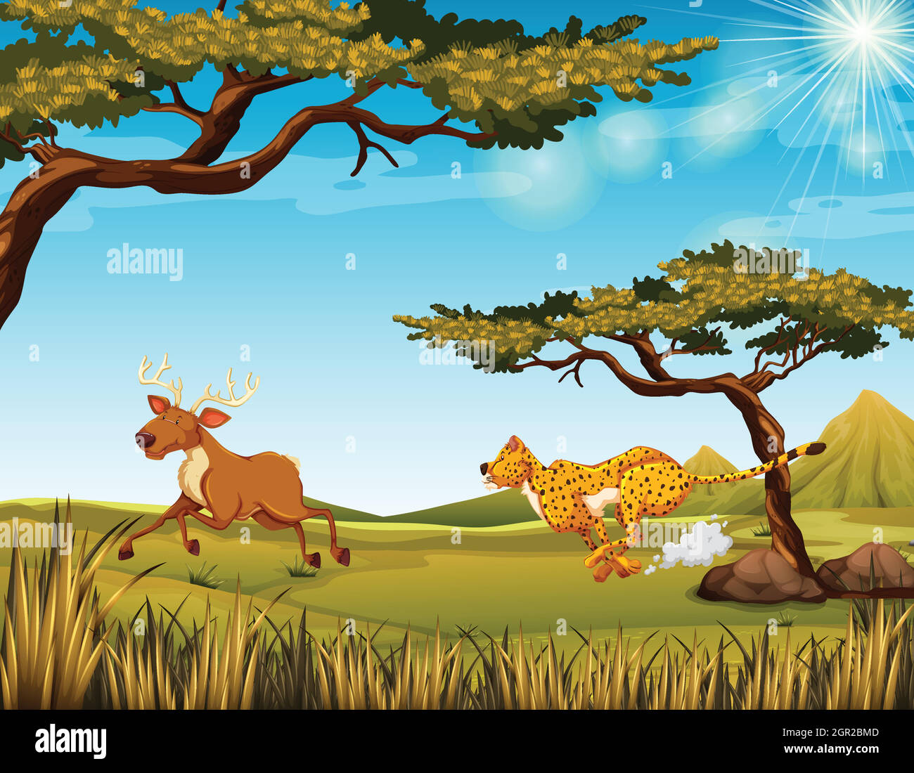 A deer in this Stock Vector Images - Alamy