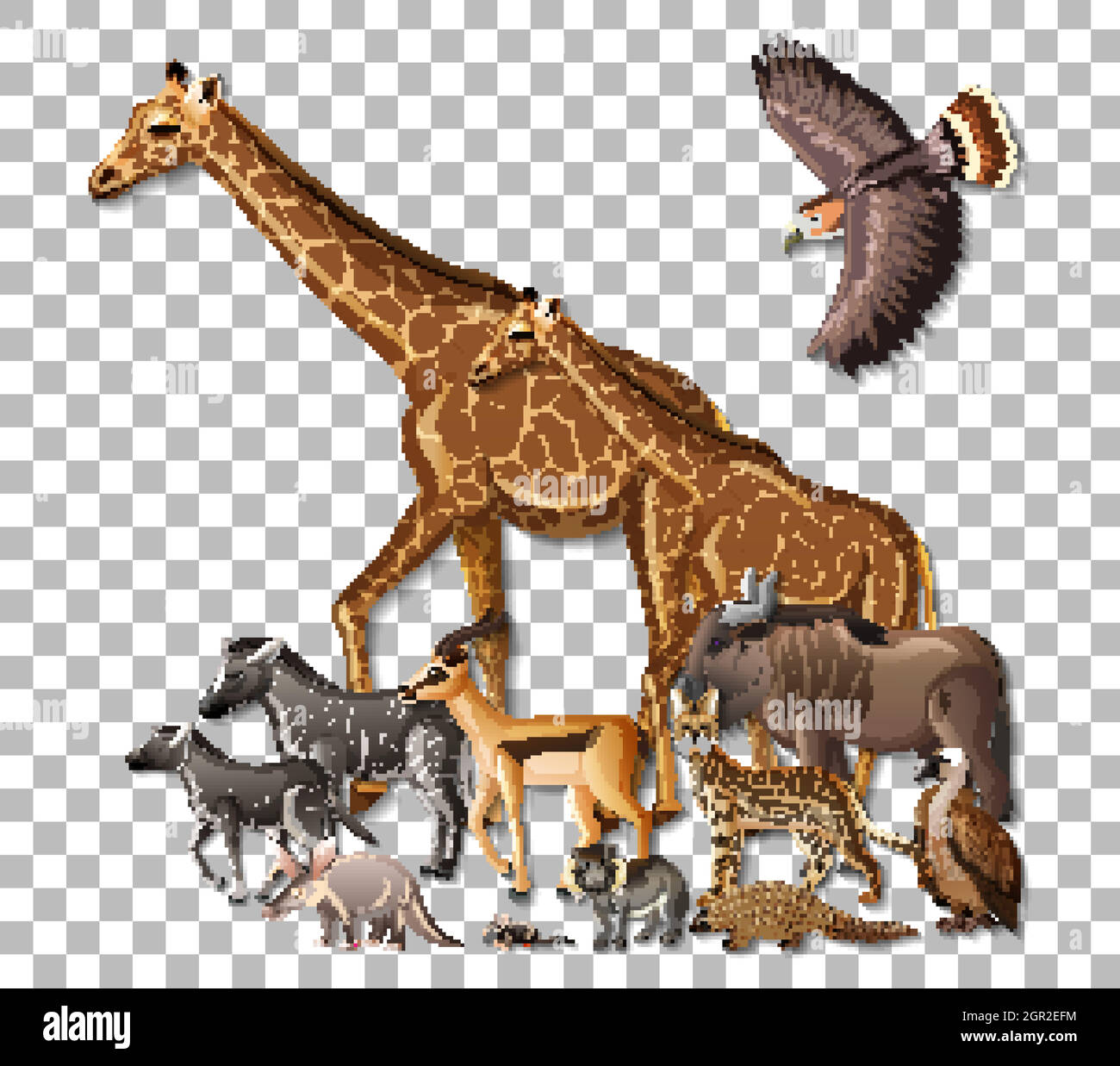 Group of wild african animals on transparent background Stock Vector ...