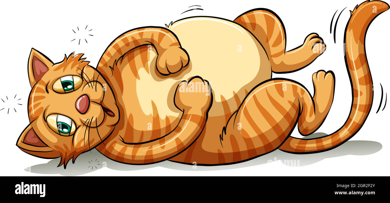 Fat white cat Stock Vector Images - Alamy