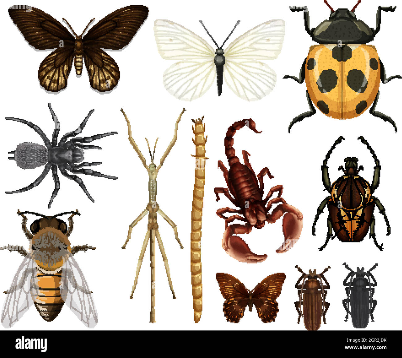 Different insects collection isolated on white background Stock Vector ...