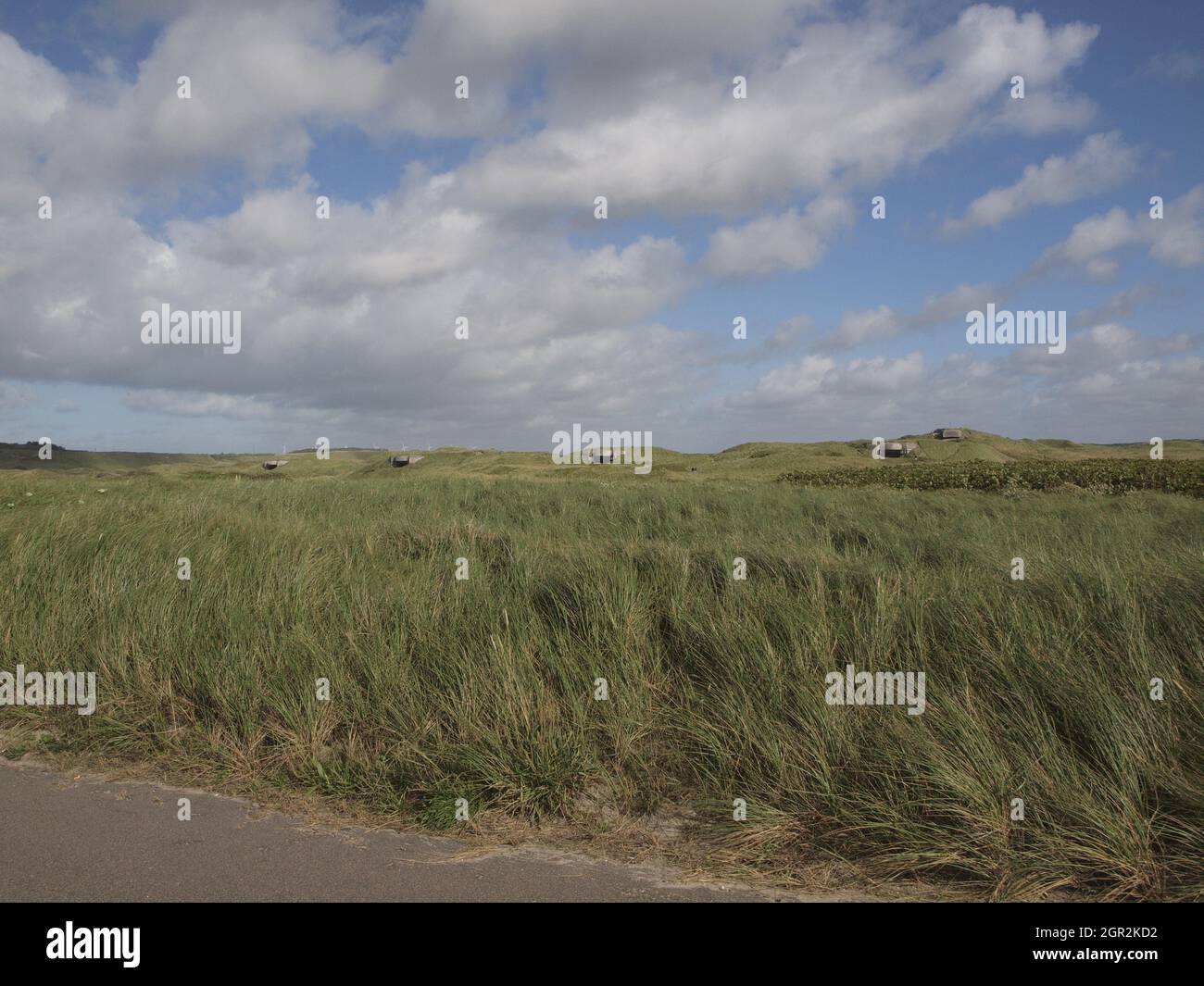 Landscape in wilderness on a sunny day Stock Photo - Alamy