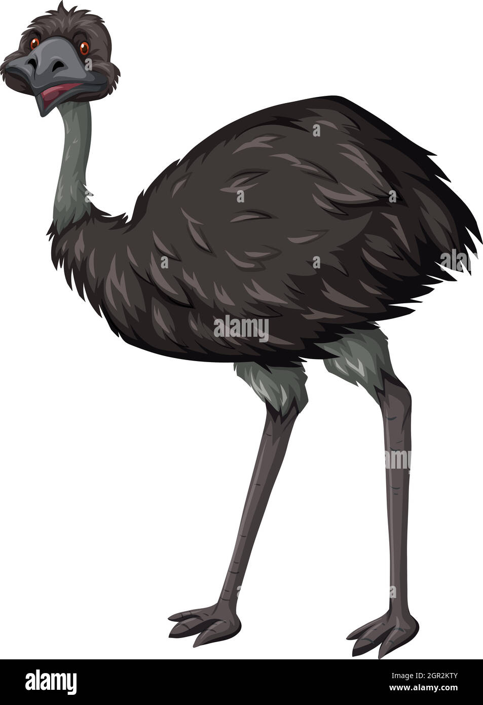 Image emu bird in Stock Vector Images - Alamy
