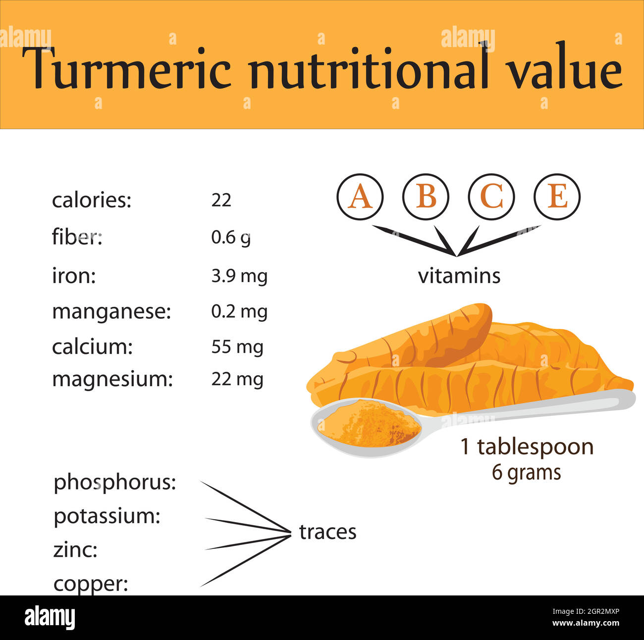 Compound of minerals in one spoon of turmeric powder Stock Vector Image ...