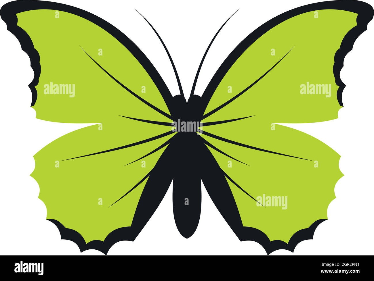 Green butterfly icon, flat style Stock Vector Image & Art - Alamy