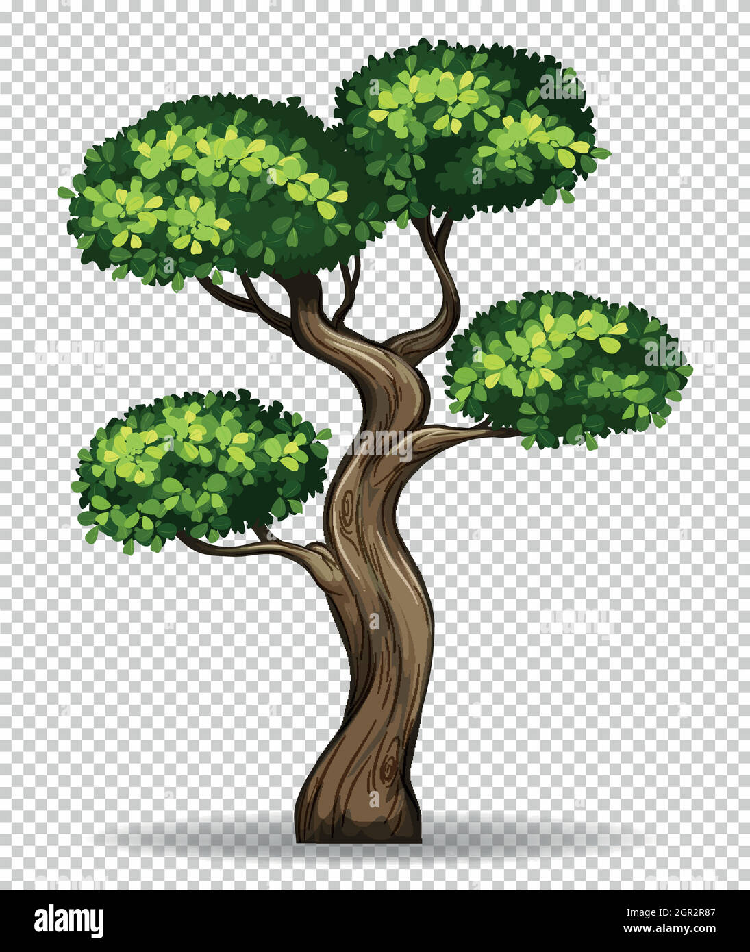 Bonsai tree drawing hi-res stock photography and images - Alamy