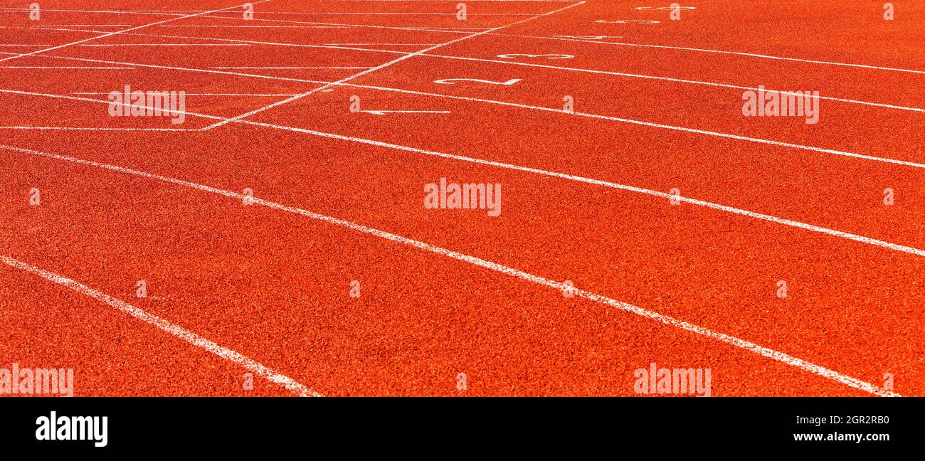 Venue for the olympic baseball hi-res stock photography and images - Alamy