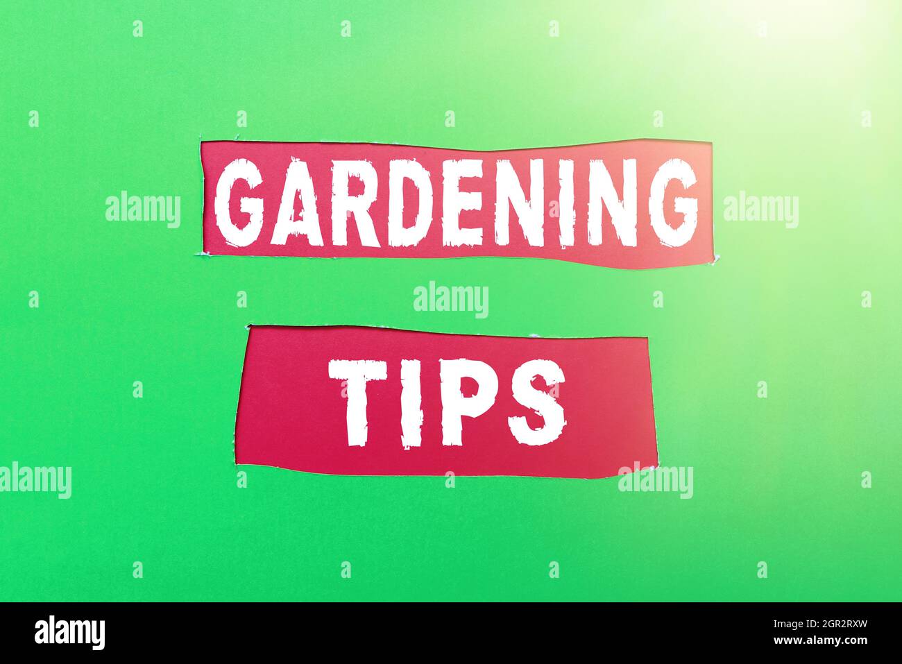 Text sign showing Gardening Tips. Conceptual photo Proper Practices in ...