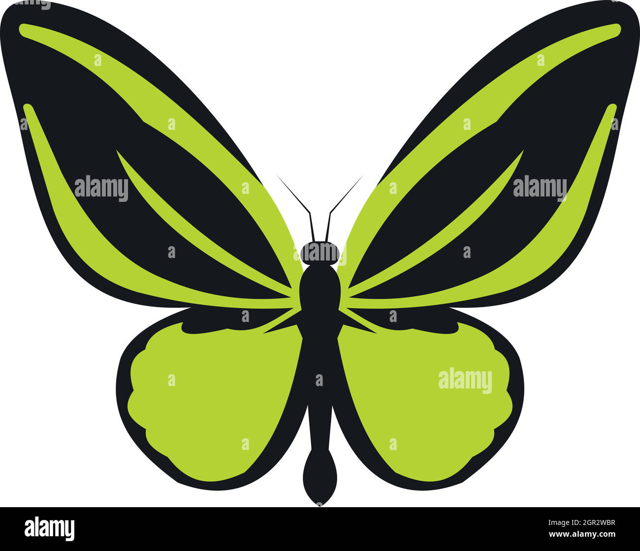 Green butterfly icon, flat style Stock Vector Image & Art - Alamy