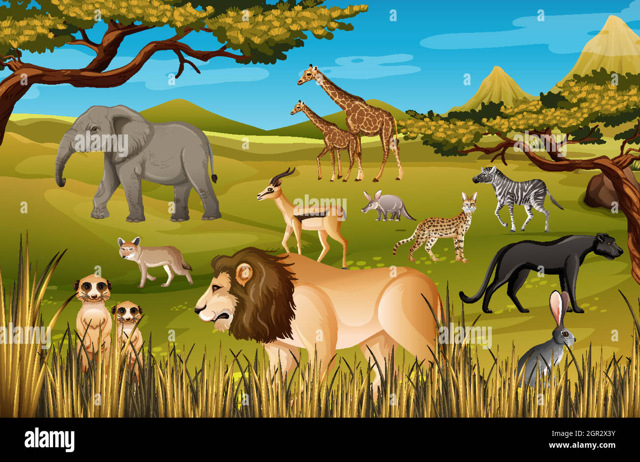 Group of Wild African Animal in the forest scene Stock Vector Image ...
