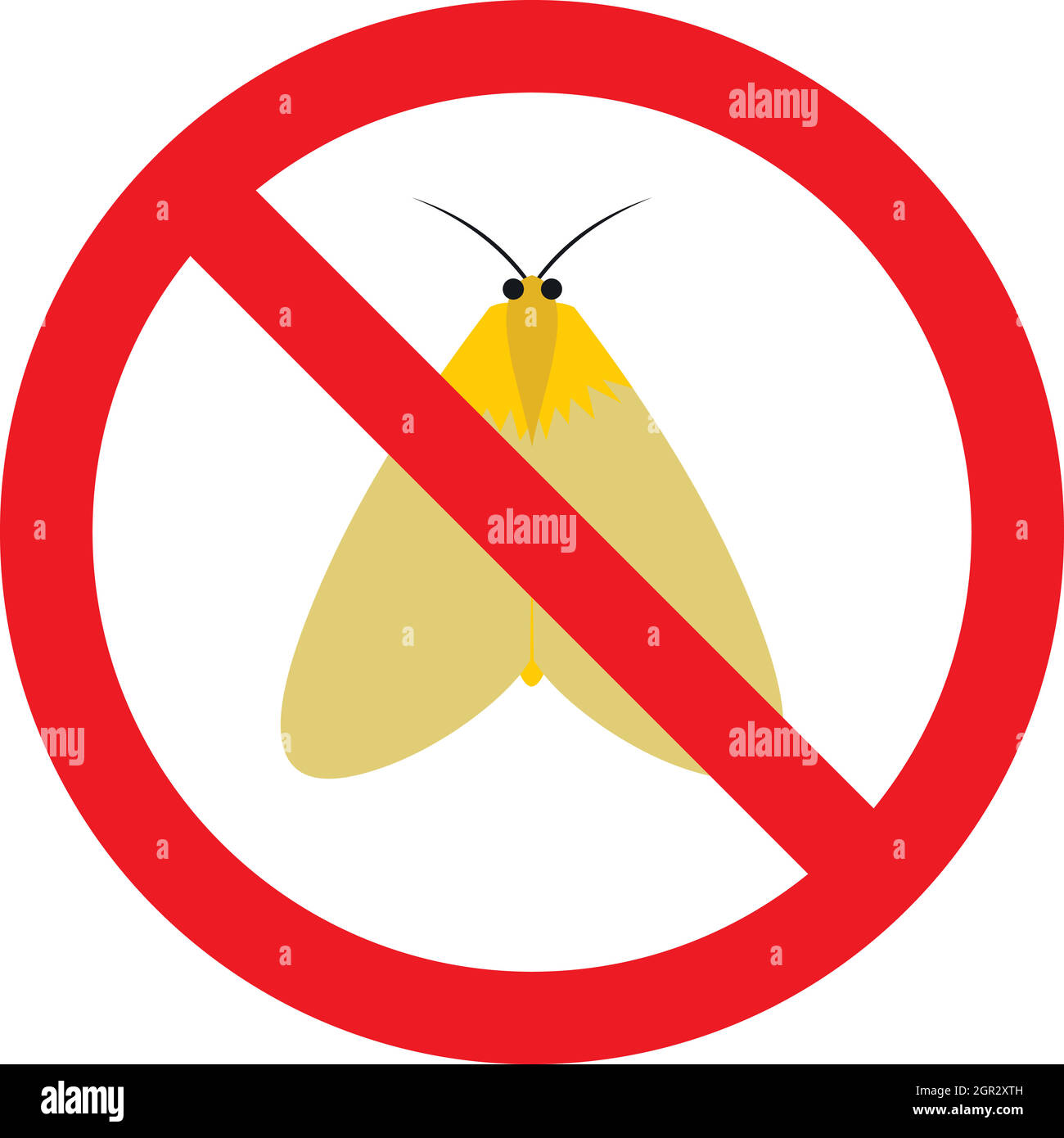 Flat moth hi-res stock photography and images - Alamy