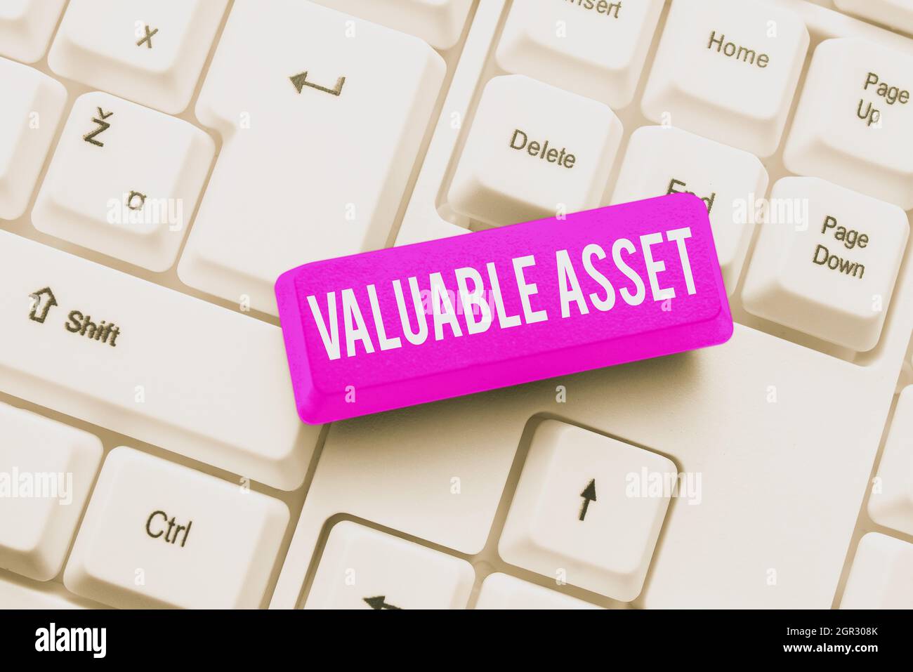 Text caption presenting Valuable Asset. Business overview Your most ...