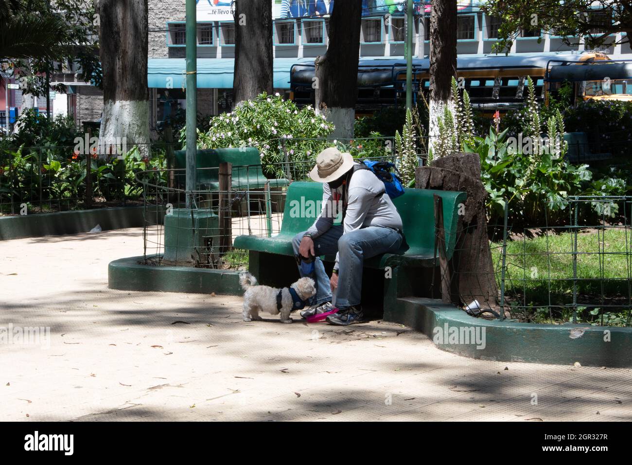 Mature man park bench dog hi-res stock photography and images - Alamy